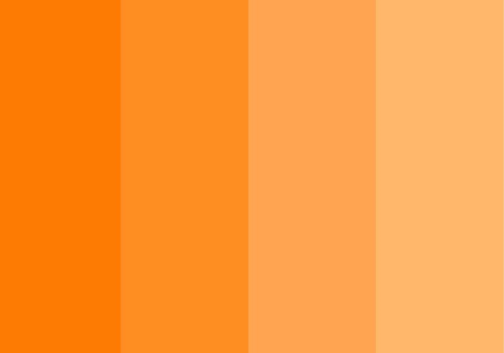 Orange Shades – Stanwells Kids