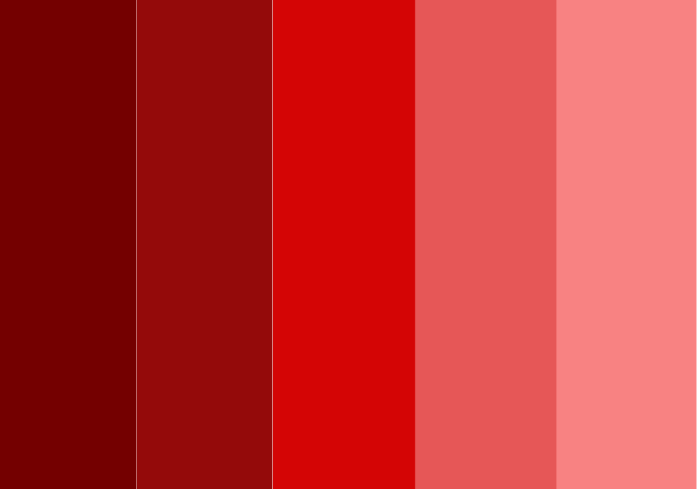 Red Shades – Stanwells Kids